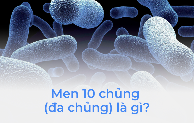 Men 10 chủng: Hiểu đúng để dùng an toàn cho bé